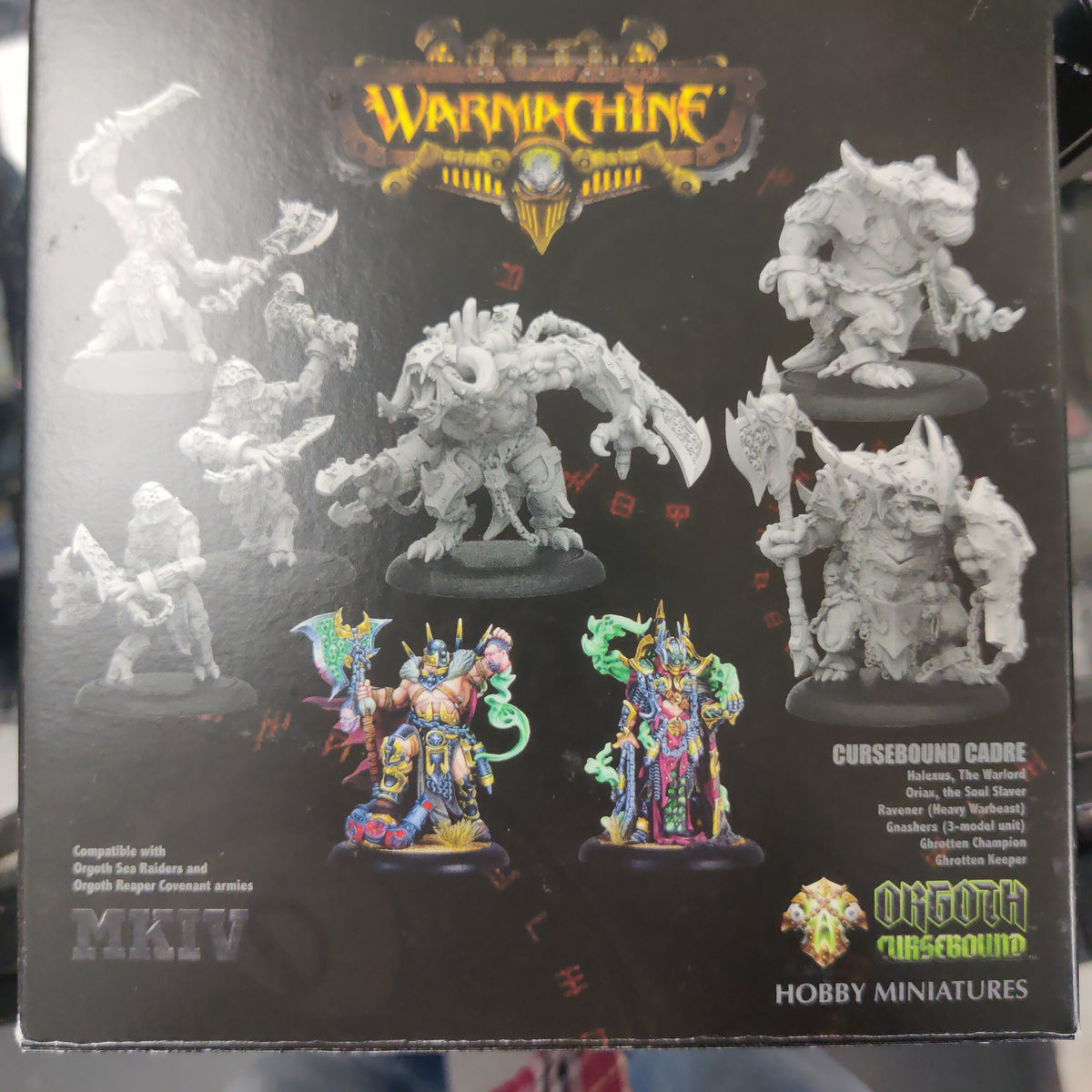 Warmachine Orgoth Cursebound Cadre – The Portal Comics and Gaming